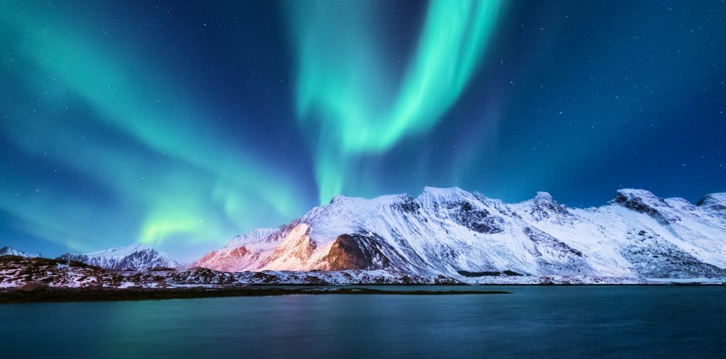 All Tours | Buzz Experiences